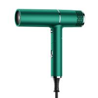 China Green Ionic Styling Tool Foldable Blow Dryer With Cool Shot Button for sale