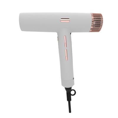 Cina Asciugatrice di capelli per la casa Solon 1800W Alta velocità ioni negativi elettrici ionici asciugatrici di capelli professionali in vendita