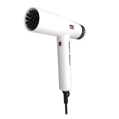 Cina Asciugatrice di capelli per la casa Solon 1800W Alta velocità ioni negativi elettrici ionici asciugatrici di capelli professionali in vendita
