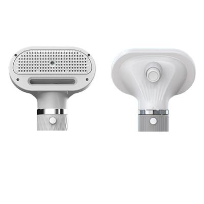 Cina Tecnologia ad alta velocità e a ioni negativi asciugacapelli 4 in 1 per animali domestici per capelli lisci e senza frizz in vendita