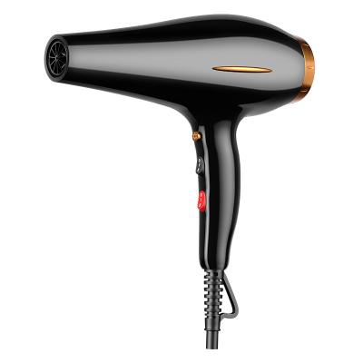 Cina Asciugacapelli elettrico con maniglia ergonomica con design di riduzione del rumore e grande presa d'aria in metallo in vendita
