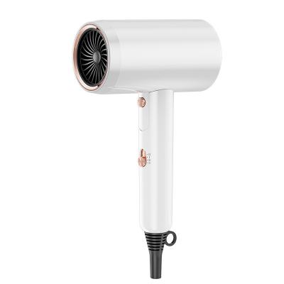 Cina Asciugatrice per capelli a ioni negativi a luce blu a motore da 2400W con 2 impostazioni di calore e accessori in vendita