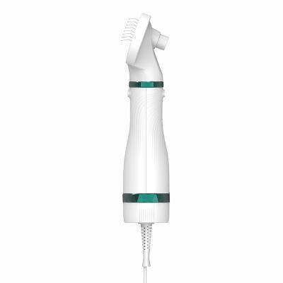 Cina 300W Mini asciugacapelli per animali domestici basso rumore gatti cani curarsi soffiatore per animali domestici soffiatore per acqua in vendita