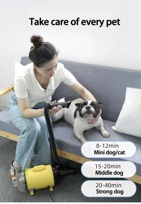 China Secador de cabelo de animais de estimação de secagem rápida 4 em 1 Secador de cabelo silencioso profissional para cães gatos leve portátil à venda