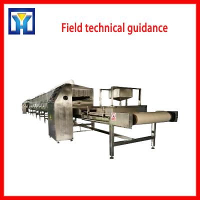 China Microwave Vacuum Drying Machine for Fruit for sale