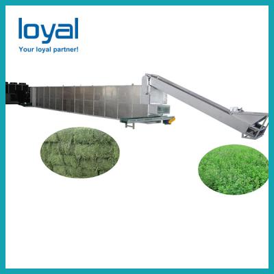 China Animal Feed Industrial Sterilization Equipment , Dog Cat Food Microwave Dryer for sale