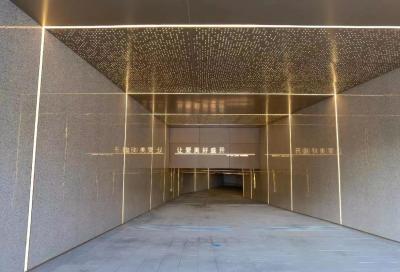 Cina Muro di cortina in alluminio per soffitti in metallo moderni resistenti alle intemperie in vendita