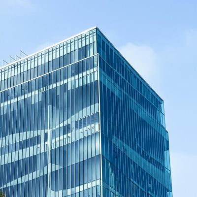 China Customizable Color Glass Curtain Wall Sleek And Modern Aesthetics for Your Requirements for sale