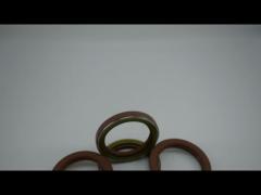 N0K Oil Seal TCN Fkm Oil Seal AP3409 FKM Metal NBR Seal Ring