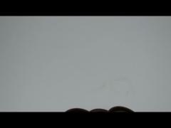 DCY DC AW3055 오일 시일 링 NBR 금속 고무 FKM 이중 스프링 오일 시일 고압