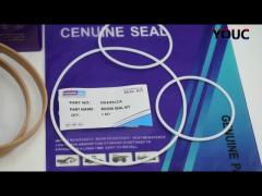 Kit guarnizioni braccio Doosan DX225LCA per la riparazione del cilindro idraulico dell'escavatore