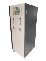 China Medium Sized Box Type Ro Reverse Osmosis Industrial Water Purifier for sale