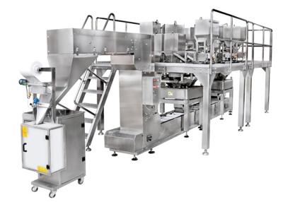 Cina Impacchettatrice automatica della borsa 300g di 100P/M per alimento in vendita