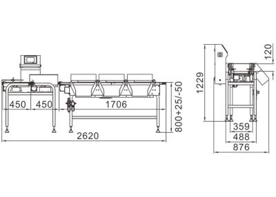 China Belt Conveyor Air Blowing 160g Automatic Checkweigher for sale