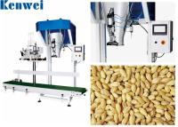 China High Accuracy Single Head Fluid Linear Bulk Weigher For Corn Soybeans for sale