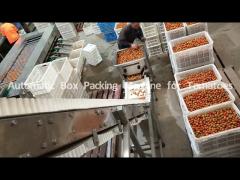 Machine de conditionnement en forme de boîte de repas automatique pour le fruit