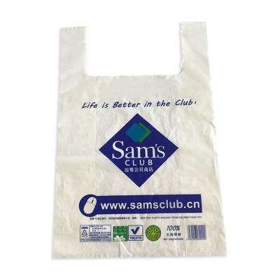 China Customizable Compostable Mailing Bag Matte PLA Compostable Bags Eco Friendly With Flexiloop Handle for sale