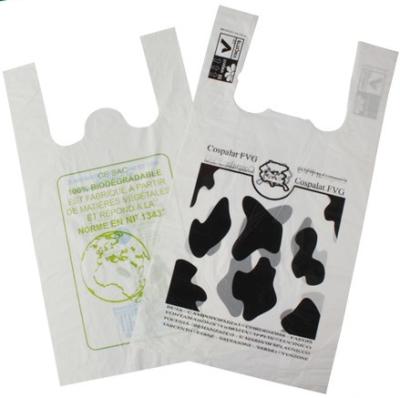 China Customizable Compostable Mailing Bag Matte PLA Compostable Bags Eco Friendly With Flexiloop Handle for sale