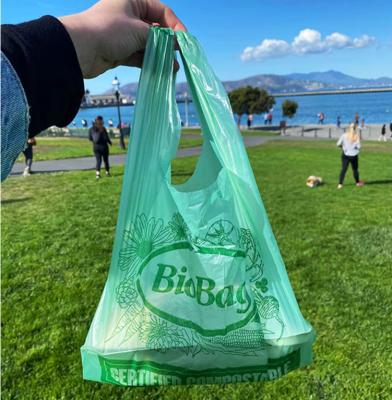 China Flexiloop Handle Compostable Mailing Bag with Custom Printing PLA and PBAT Material Structure for sale