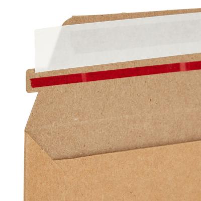China Custom Printed Cardboard Envelope Mailer Biodegradable Cardboard Shipping Envelope for sale