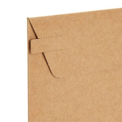 China Custom Printed Cardboard Envelope Mailer Biodegradable Cardboard Shipping Envelope for sale