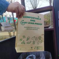 Quality Biodegradable Disposable Brown Paper Bags Custom Printed Compostable Brown Paper for sale