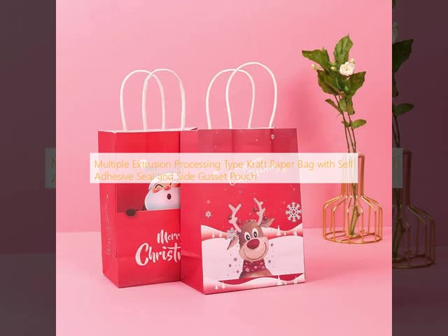 Scatola di carta kraft di tipo a estrussione multipla con sigillo autoadesivo e sacchetto laterale