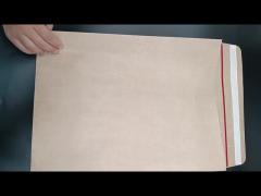 Self-Sealing Kraft Pointed Bottom Paper Bag