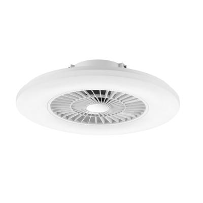China Ceiling Fan Light with Starlight Cover 52 Inch DC Motor Remote Control for sale