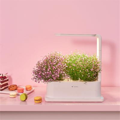 China Desktop Grow Box for sale