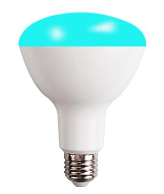 China Bluetooth Mesh RGBCW Bulb for sale