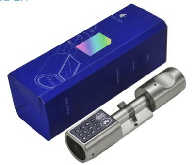 China Tuya smart lock(PBTY0KEY) for sale