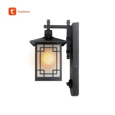 China 1080p Outdoor Sconce Light IP Camera(IPL102-1) for sale