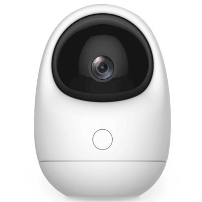 1080P PTZ Wi-Fi Camera(2W9)