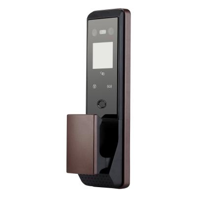 China Mini Program Remote Unlock Fingerprint Magnetic Card Digital Door Lock 120mm for sale