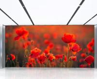 China P2 LED Panel Display 2mm Pixel Pitch 1200cd/m² Brightness Ultra-Thin Indoor Screen with 100,000 Hour Lifespan for sale