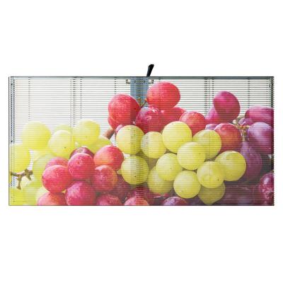 Cina Distribuzione al dettaglio SMD2121 LED Film trasparente flessibile 500mm*125mm Dimensione del pannello in vendita
