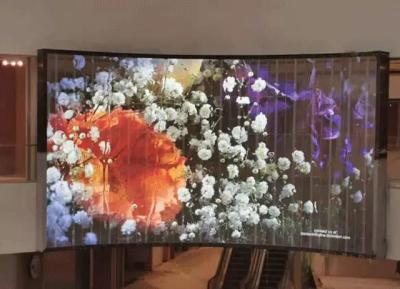 Cina Distribuzione al dettaglio SMD2121 LED Film trasparente flessibile 500mm*125mm Dimensione del pannello in vendita
