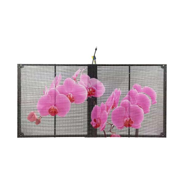 Quality 32768dots/Sqm Flexible Transparent LED Window Display Screen For Advertising for sale