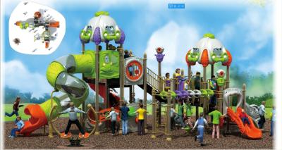 China Playgrounds for Large  Space Kids Outdoor Playsets Playground for sale