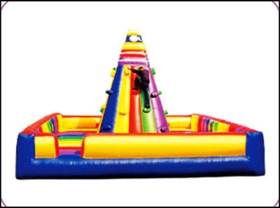 China Community Used Inflatable Bounce Toys Kids&Adults bouncy Castle with Climb for sale