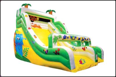 China Happy Hop Cheap Inflatable Bouncer Children Cartoon Inflatable Bounce and Slide for sale
