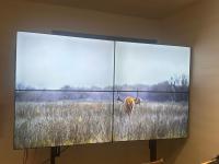 China JCVISION 46