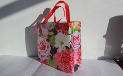 Cina Le borse riutilizzabili non tessute autoadesive/hanno laminato la borsa non tessuta in vendita