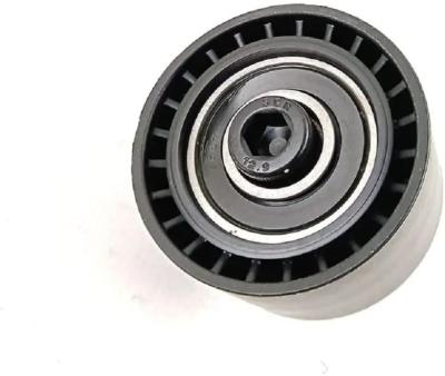 Cina XINLONG LION cintura di tensione puleggia cintura motrice puleggia idler OE 11288620023 per BMW 1 E81 in vendita