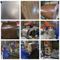 China 508mm Hot Dip Galvanized Steel Coils 0.12-3.0mm Thickness Z30-Z275 Coating for Construction and Automotive for sale
