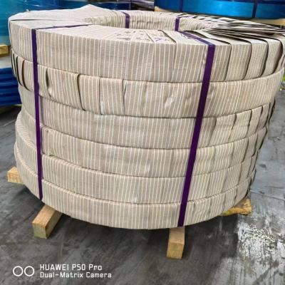 China ASTM A240 Stainless Steel Metal Strips Thickness 0.1 - 3.0mm for sale