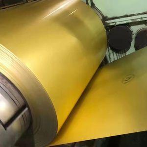 China 0.3mm Thickness RAL Code Color Prepainted Galvanized Steel Coil 3-6MT Coil Weight PPGI for sale