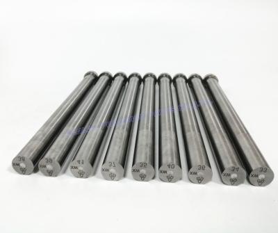 Cina Perni del centro della muffa delle componenti modellati iniezione di plastica Ra0.6 con il livello lucidato in vendita
