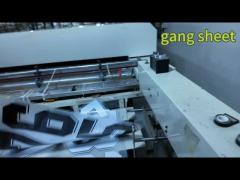 gang sheet